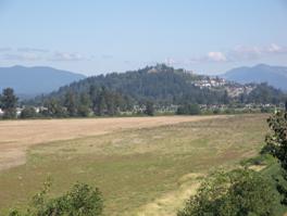 Welcome to the Skagit County Farmland Legacy Program